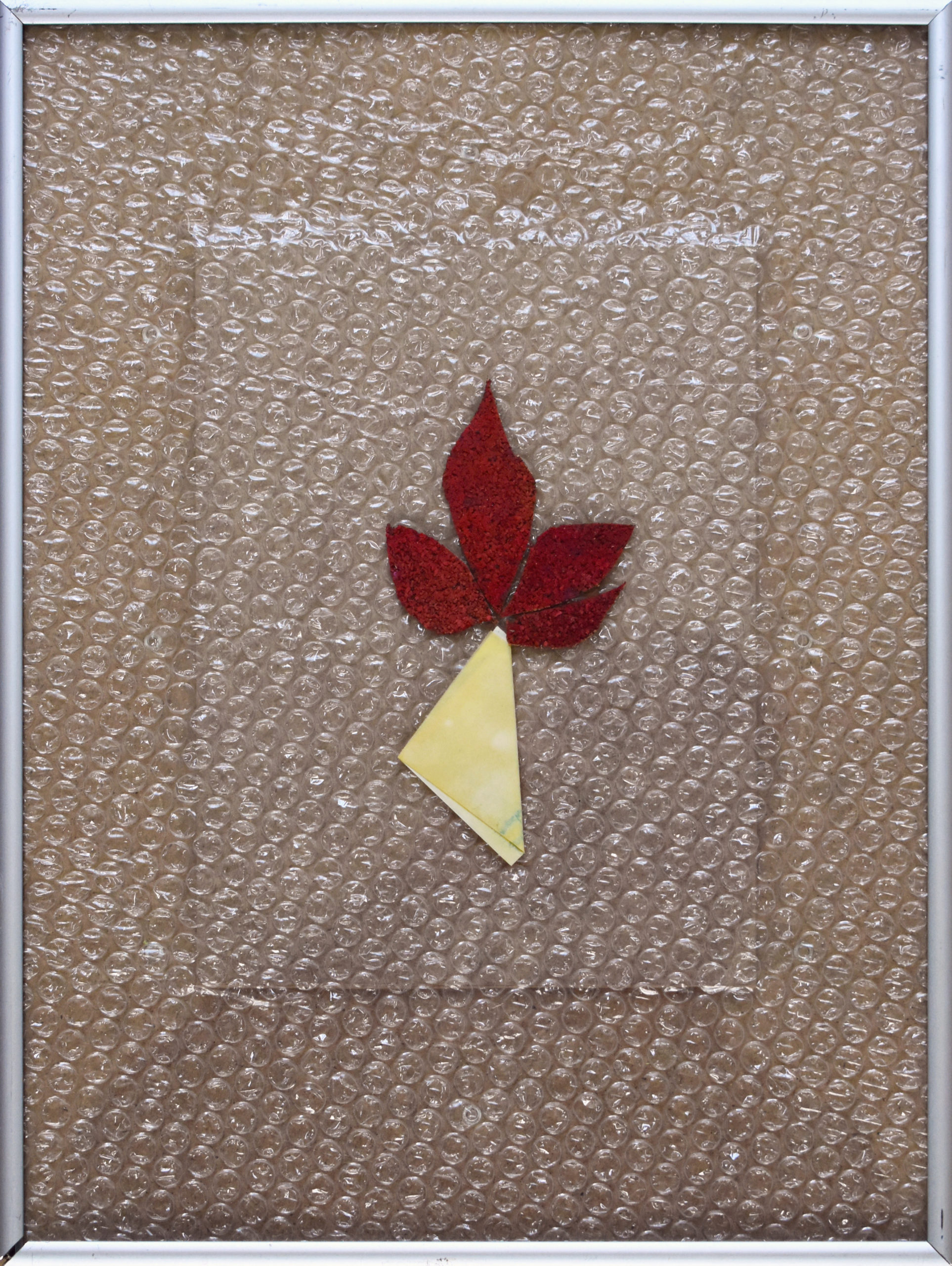 La collection de Monsieur Robot - Kevin Hoarau