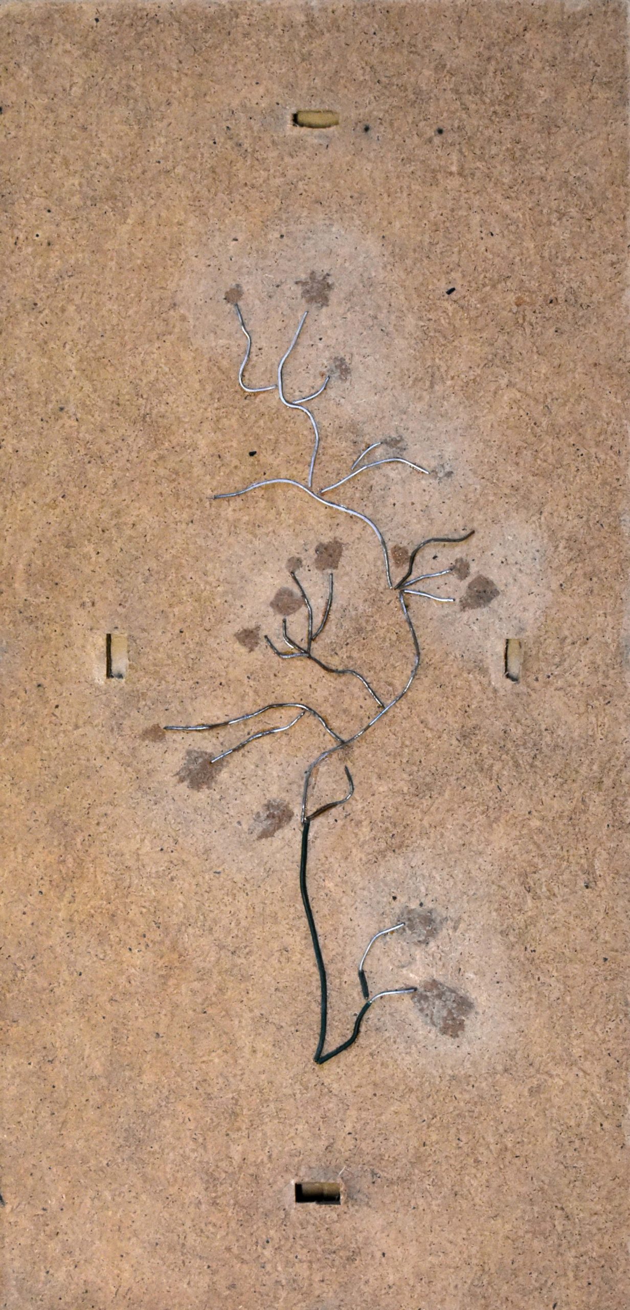 La collection de Monsieur Robot - Kevin Hoarau