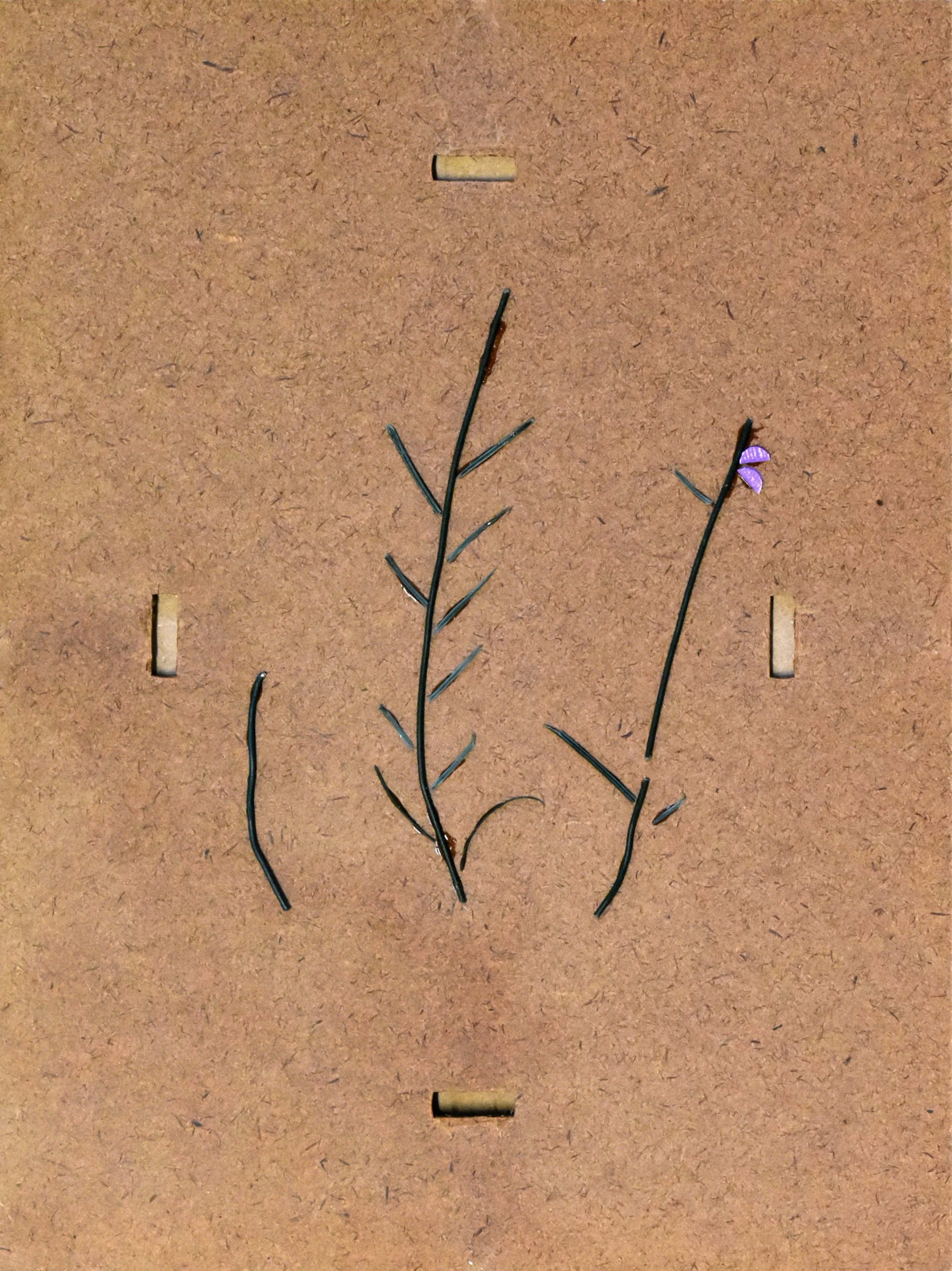 La collection de Monsieur Robot - Kevin Hoarau